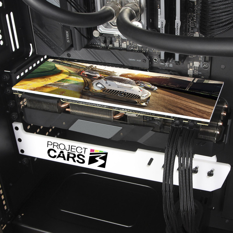 Custom Backplate | Project Cars 3 | Coldzero