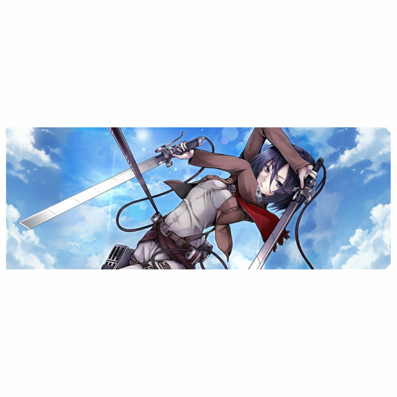 Custom Backplate | Mikasa v1 | Coldzero